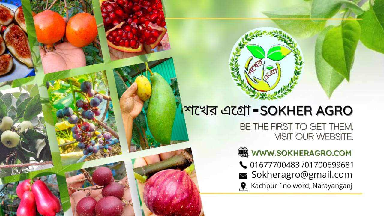 Home | শখের এগ্রো - Sokher Agro