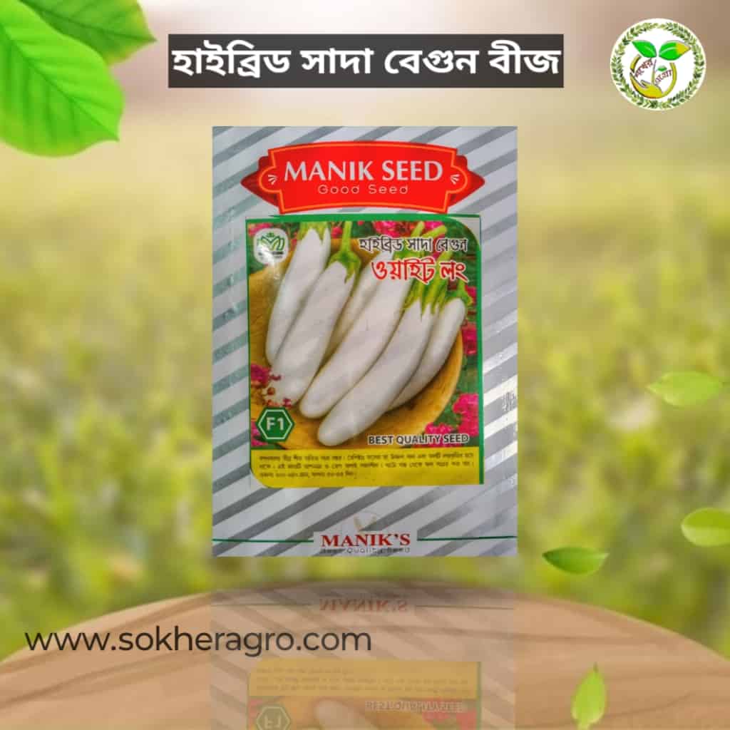 মূলা বীজ বা মুলা আর্লি - ৪০ বীজ mola seeds or mula bij