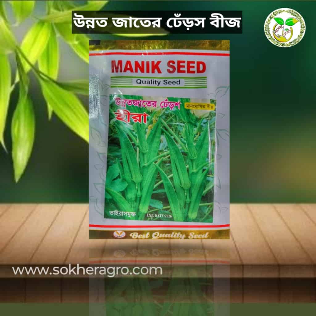 Derosh seeds বা ঢেঁড়শ বীজ or derosh bij