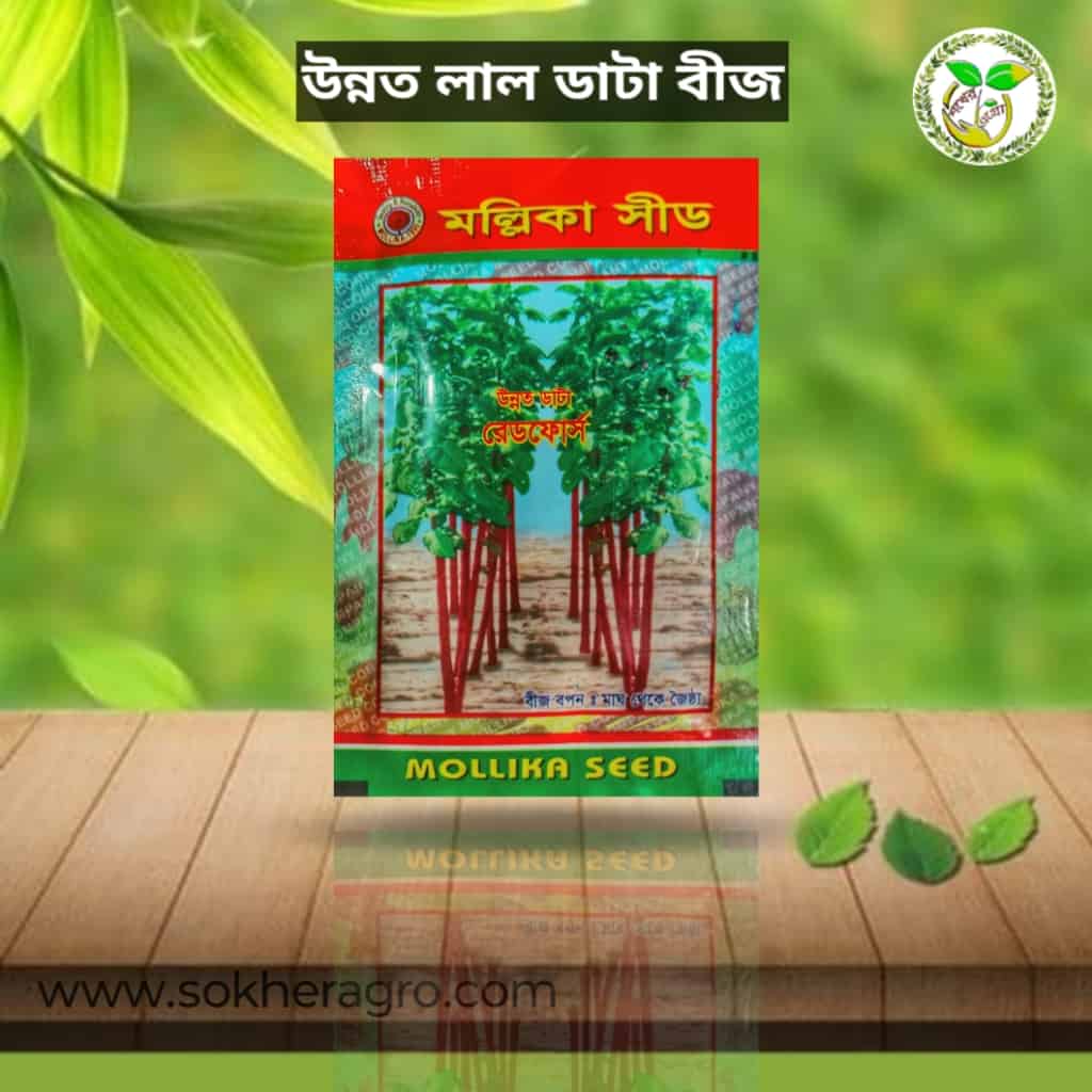Lal data seeds বা লাল ডাটা বীজ or lal data bij