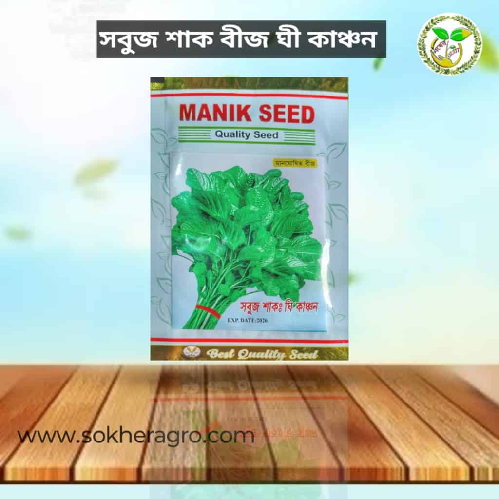 sobuj data shak seeds বা সবুজ ডাটা শাক বীজ or sobuj data shak bij