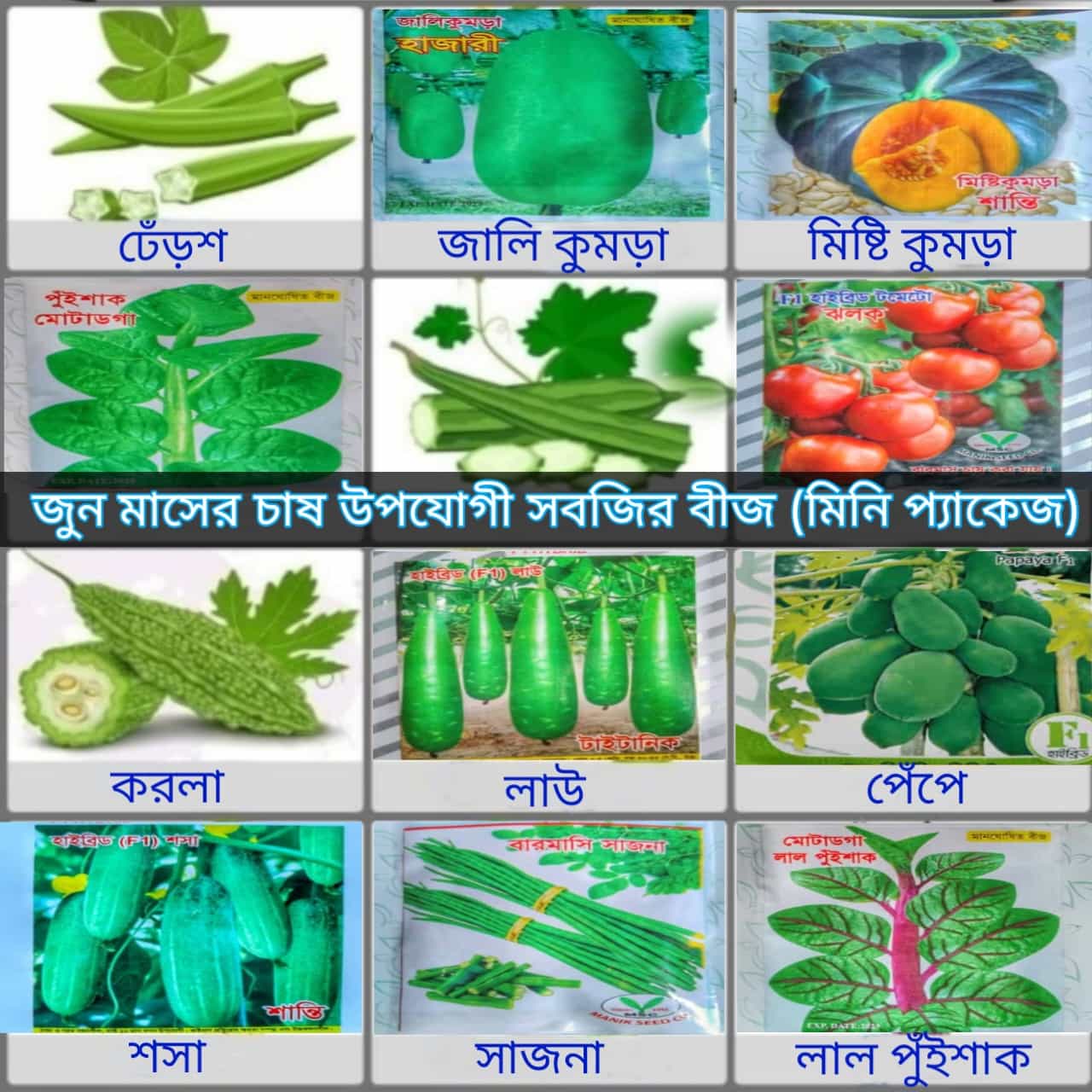 জুন মাসে চাষ উপযোগী সবজির বীজ June mash chas upojogi sobji bij (mini ...