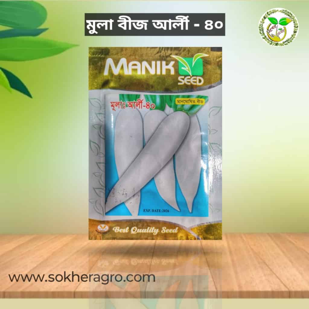 মূলা বীজ বা মুলা আর্লি - ৪০ বীজ mola seeds or mula bij
